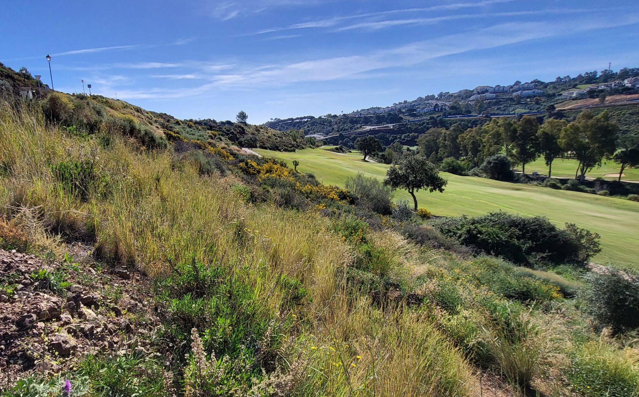 How to select residential land and build a property in Spain - MDCI ...
